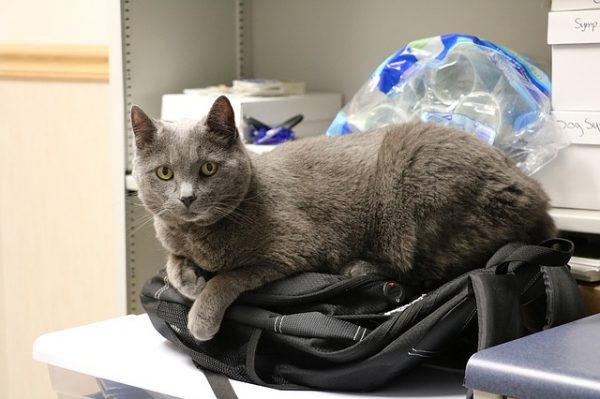 How to Ace GRE Quantitative: 22 Expert Tips • PrepScholar GRE